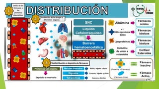 FARMACOCINETICA Y SISTEMA LADME (1).pptx