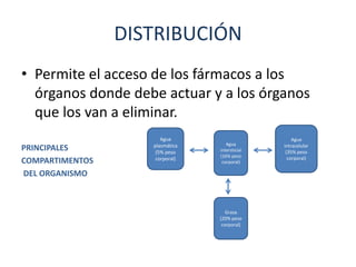 Farmacocinética | PPTX
