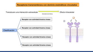 Farmacodinamia .pptx