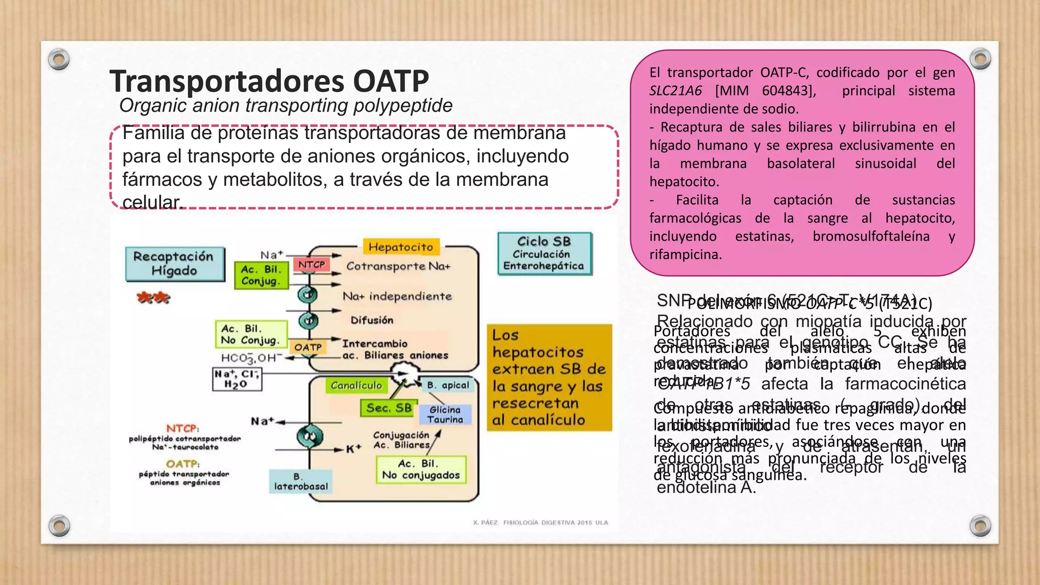 Farmacogenetica y farmacogenomica | PPTX