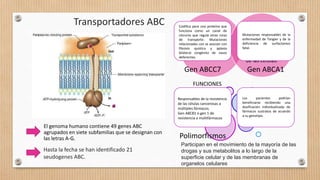 Farmacogenetica y farmacogenomica | PPTX