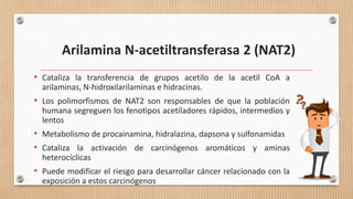 Farmacogenetica y farmacogenomica | PPTX