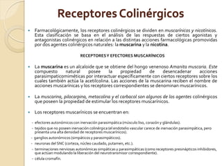 Farmacologia del Sistema Colinergico | PDF