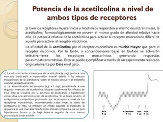 Farmacologia del Sistema Colinergico | PDF