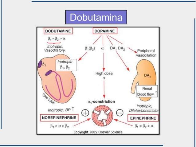 Farmacología de inotrópicos
