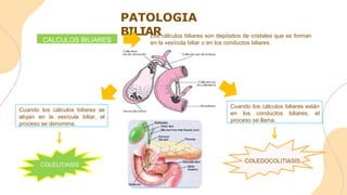 FARMACOLOGÍA DE LA SECRECIÓN PANCREÁTICA Y BILIAR.pptx