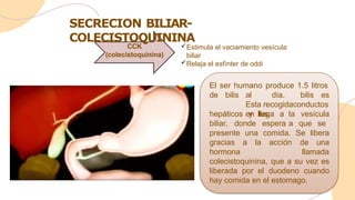 FARMACOLOGÍA DE LA SECRECIÓN PANCREÁTICA Y BILIAR.pptx
