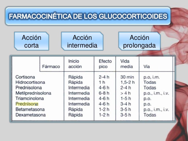 Farmacologia De Los Corticoesteroides