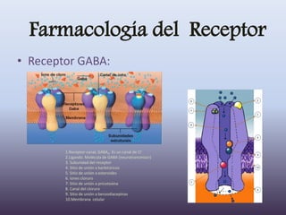 Farmacologia del receptor | PPTX