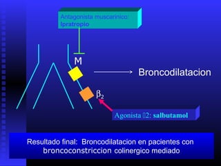 Farmacología respiratoria - broncodilatadores, antitusígenos y ...