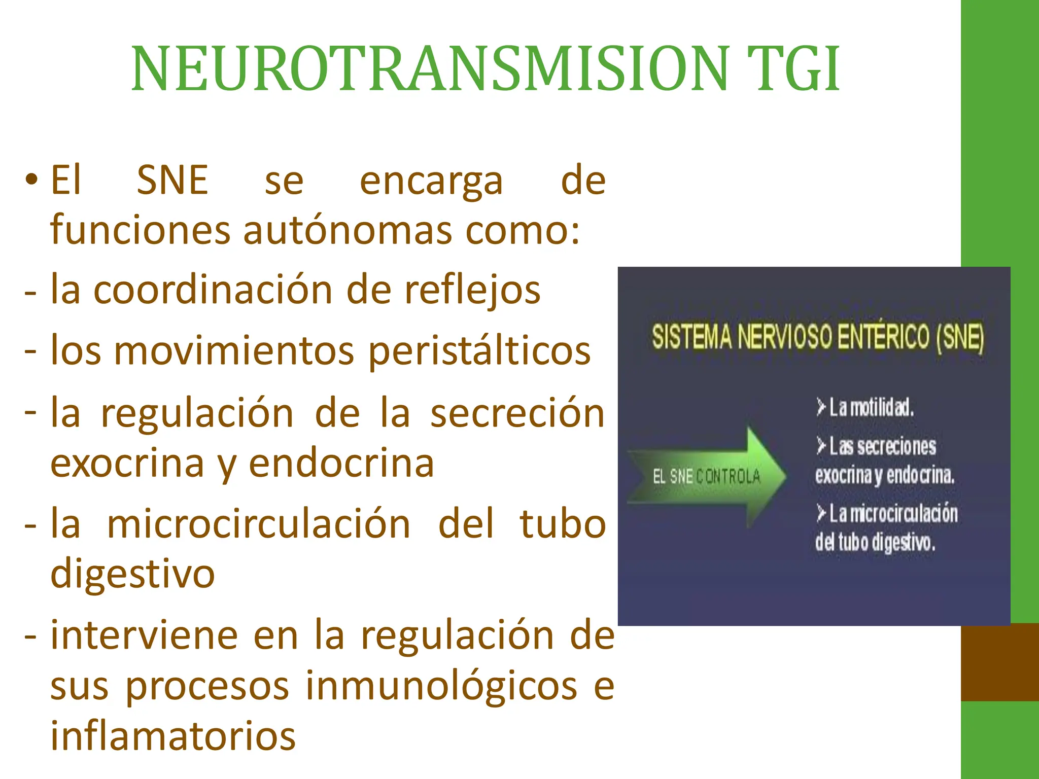presentacion Farmacología Sistema Digestivo | PDF