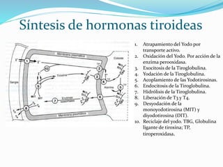 Farmacología tiroidea | PPTX