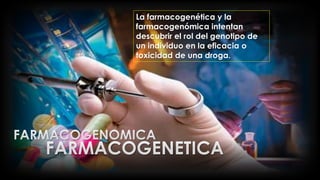 Farmacologia( farmacocinetica, farmacodinamia) | PPTX