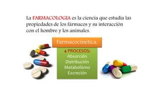 Farmacologia( farmacocinetica, farmacodinamia) | PPTX
