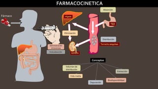Farmacologia( farmacocinetica, farmacodinamia) | PPTX