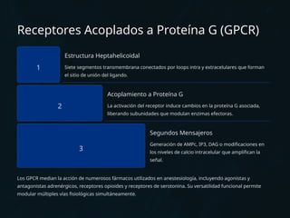 Farmacologia-Molecular-y-Complejo-Ligando-Receptor-en-Anestesiologia ...