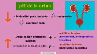 farmacologia-renal-355475-downloadable-5620638.pptx