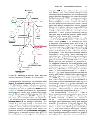 Farmacologia_basica_y_clinica_Katzung_Bertram_G_Editor_1pdf.pdf