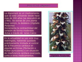 Farmacologia cardiovascular. enfermeria | PPTX