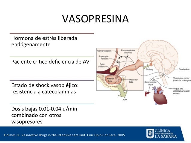 Farmacologia clinica de los vasopresores e inotropicos