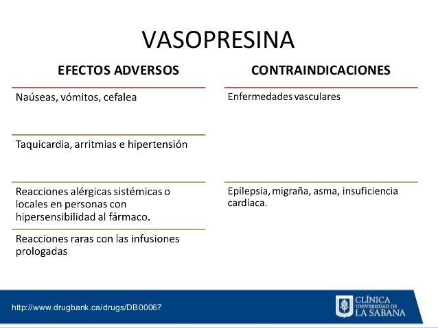 Farmacologia clinica de los vasopresores e inotropicos