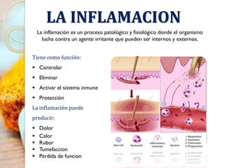Farmacologia del dolor | PDF