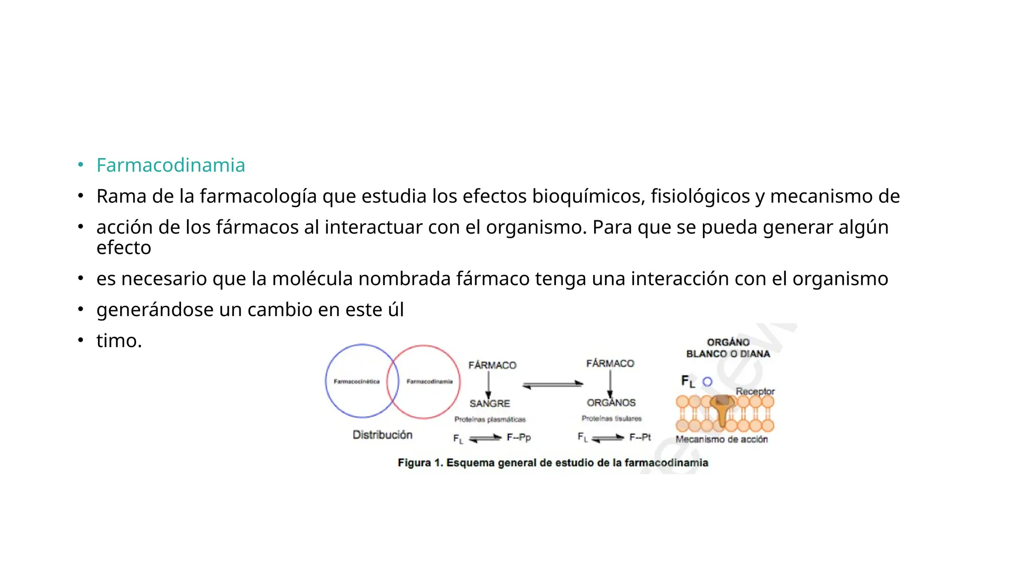 FARMACOMETRÍA (2) RAMA DE LA FARMACO DINAMIA.pptx