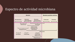 Fármacos microbianos breve revisión.pdf