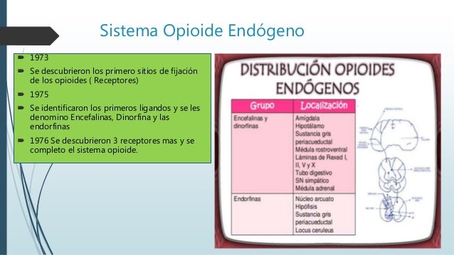 Opioides Endogenos