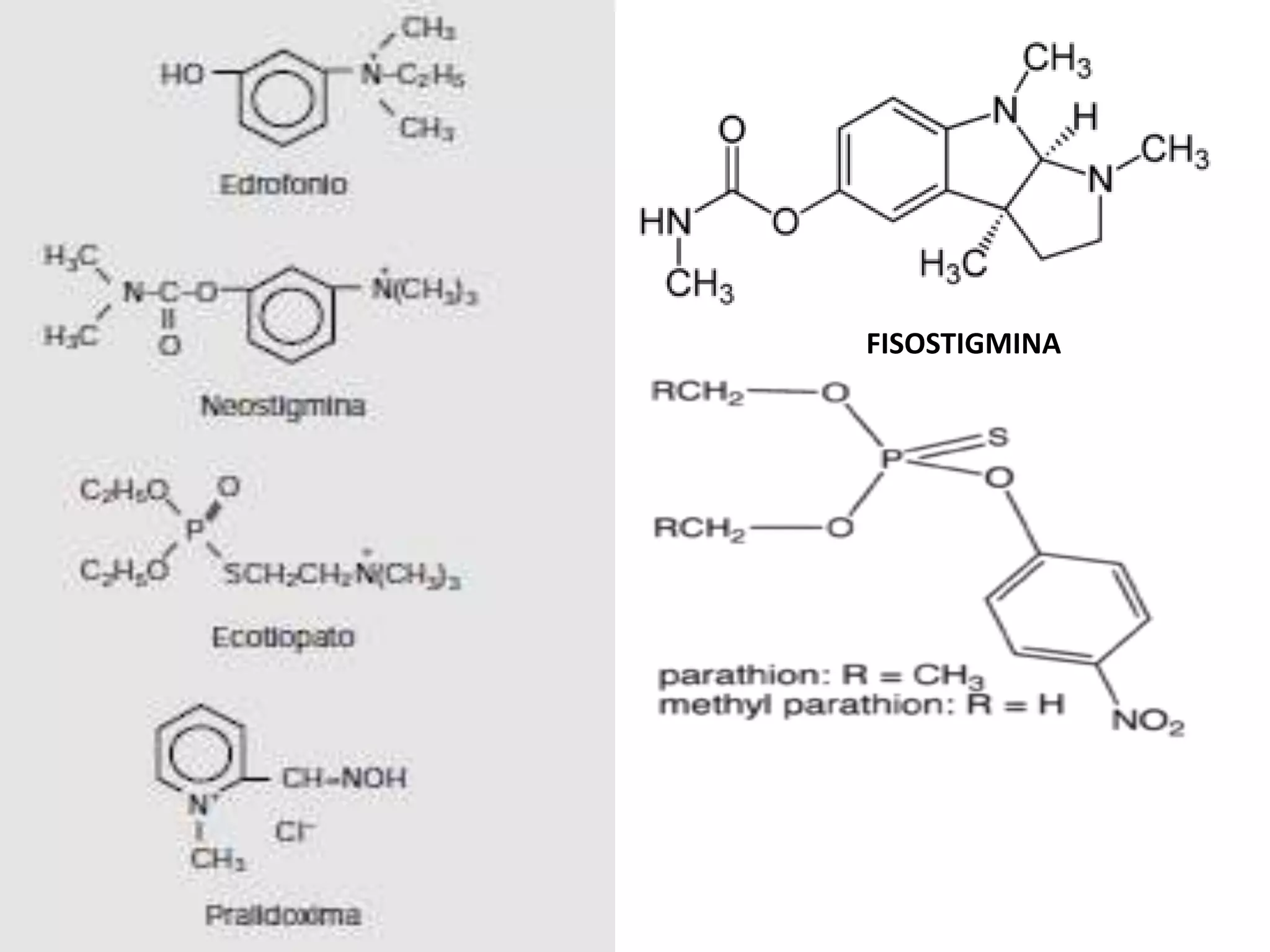 Farmacos colinergicos | PPTX
