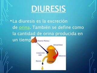 Fármacos Diureticos | PPTX