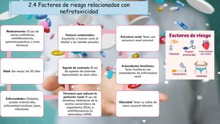 Factores de riesgo relacionados con fármacos nefrotóxicos. | PPTX