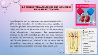 Factores de riesgo relacionados con fármacos nefrotóxicos. | PPTX