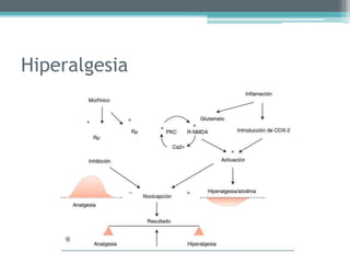 Farmacos opioides.pptx