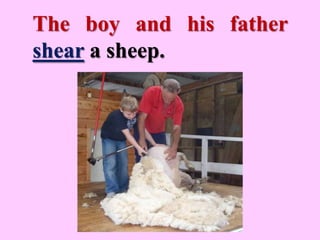 Farm activities | PPT