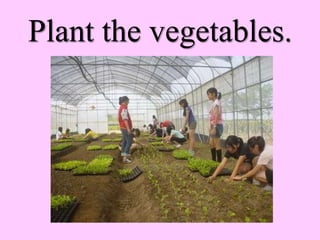 Farm activities | PPT