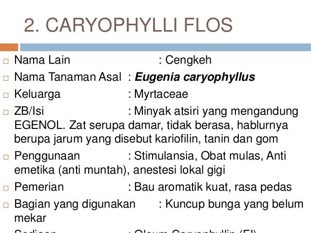 Ini Dia! Gambar Tanaman Asal Carthami Flos yang Wajib Diketahui ...
