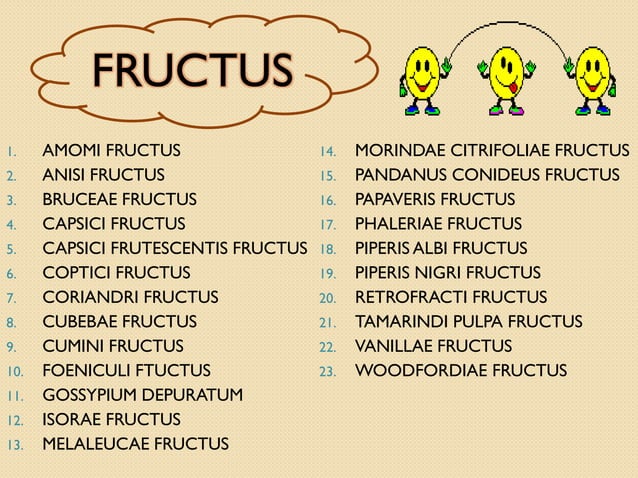 Farmakognosi Fructus | PPTX