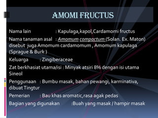 Farmakognosi Fructus | PPTX