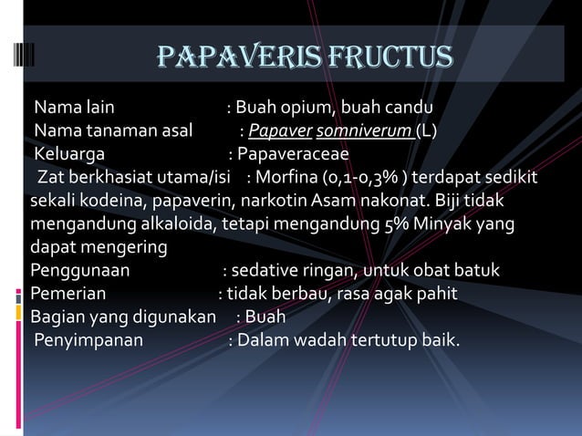 Farmakognosi Fructus | PPTX
