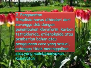 budidaya tanaman simplisia | PPTX