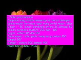 budidaya tanaman simplisia | PPTX