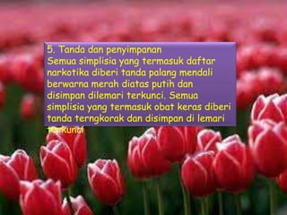 budidaya tanaman simplisia | PPTX