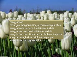 budidaya tanaman simplisia | PPTX