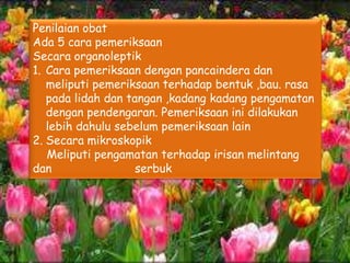 budidaya tanaman simplisia | PPTX