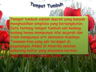 budidaya tanaman simplisia | PPTX