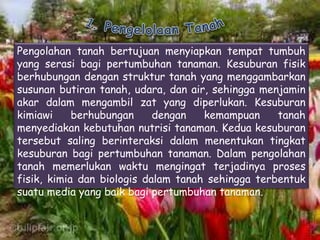 budidaya tanaman simplisia | PPTX