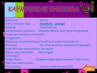 Farmakognosi Rhizoma | PPTX