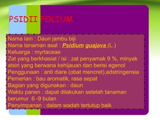 materi farmakognosi simplisia folium.pptx