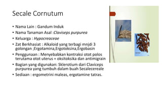FARMAKOGNOSI kelas XII. Materi simplisia pptx | PPTX